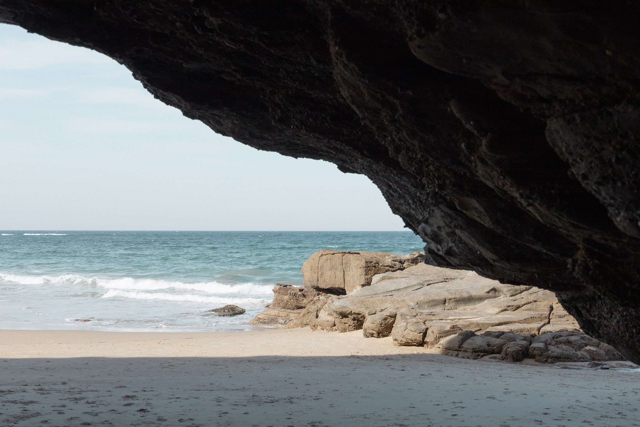 Overfishing and the Supplement Industry – Luna & Solis