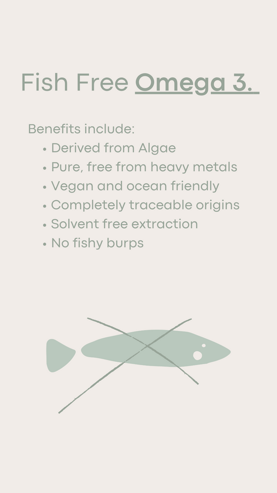 Plant Based Omega 3 Liquid Drops | Luna & Solis