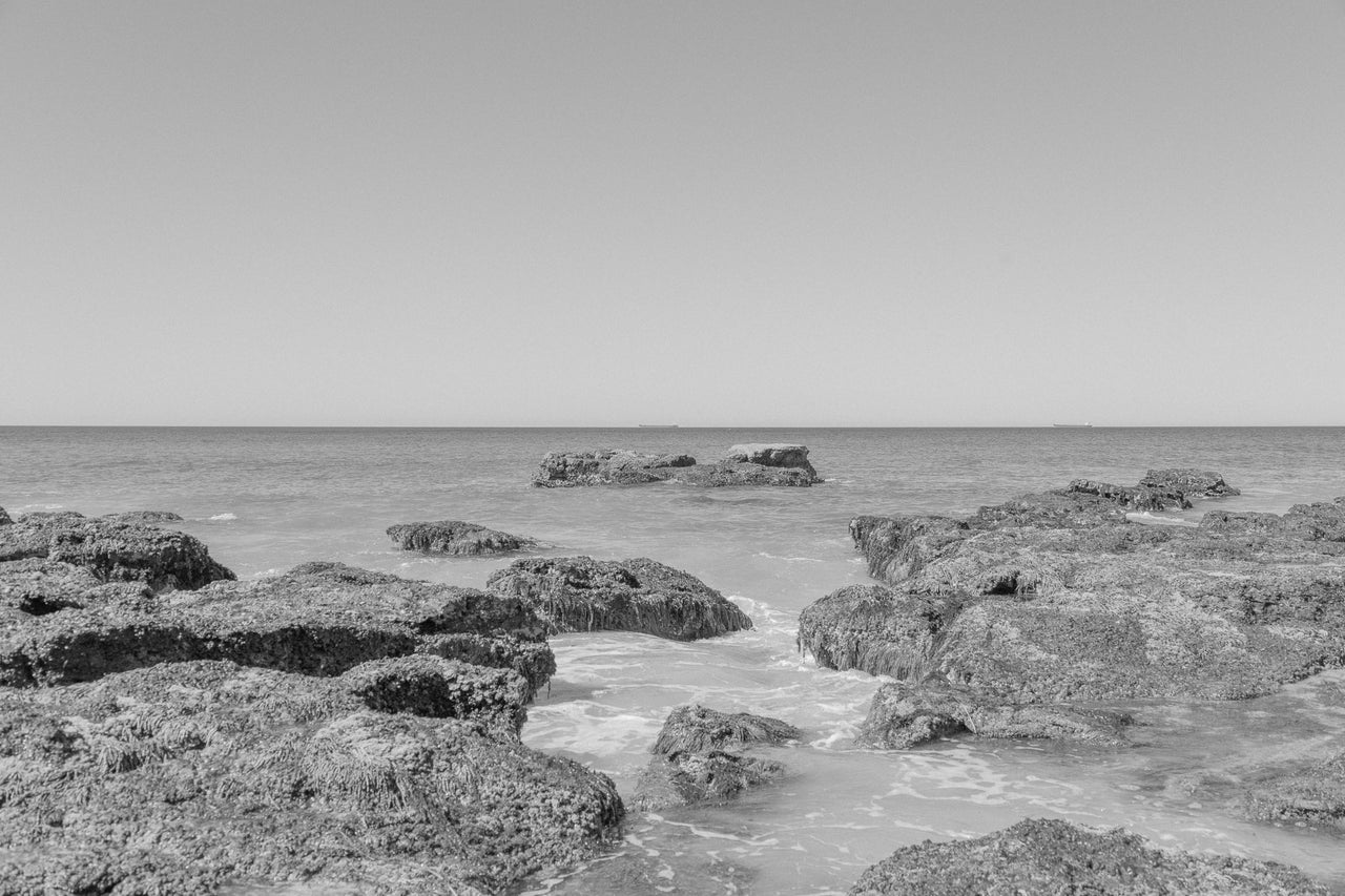 Plant Based Omega 3 Liquid Drops | Luna & Solis