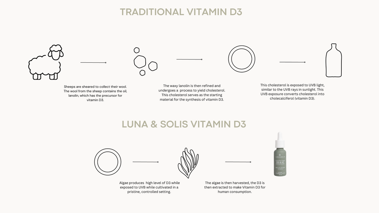 Plant Based Vitamin D3 & K2 Liquid Supplement | Luna & Solis