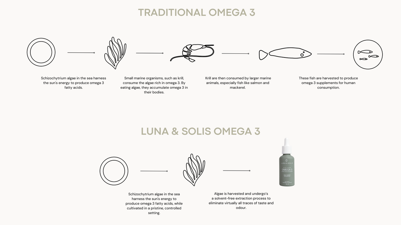 Plant Based Omega 3 Liquid Drops | Luna & Solis